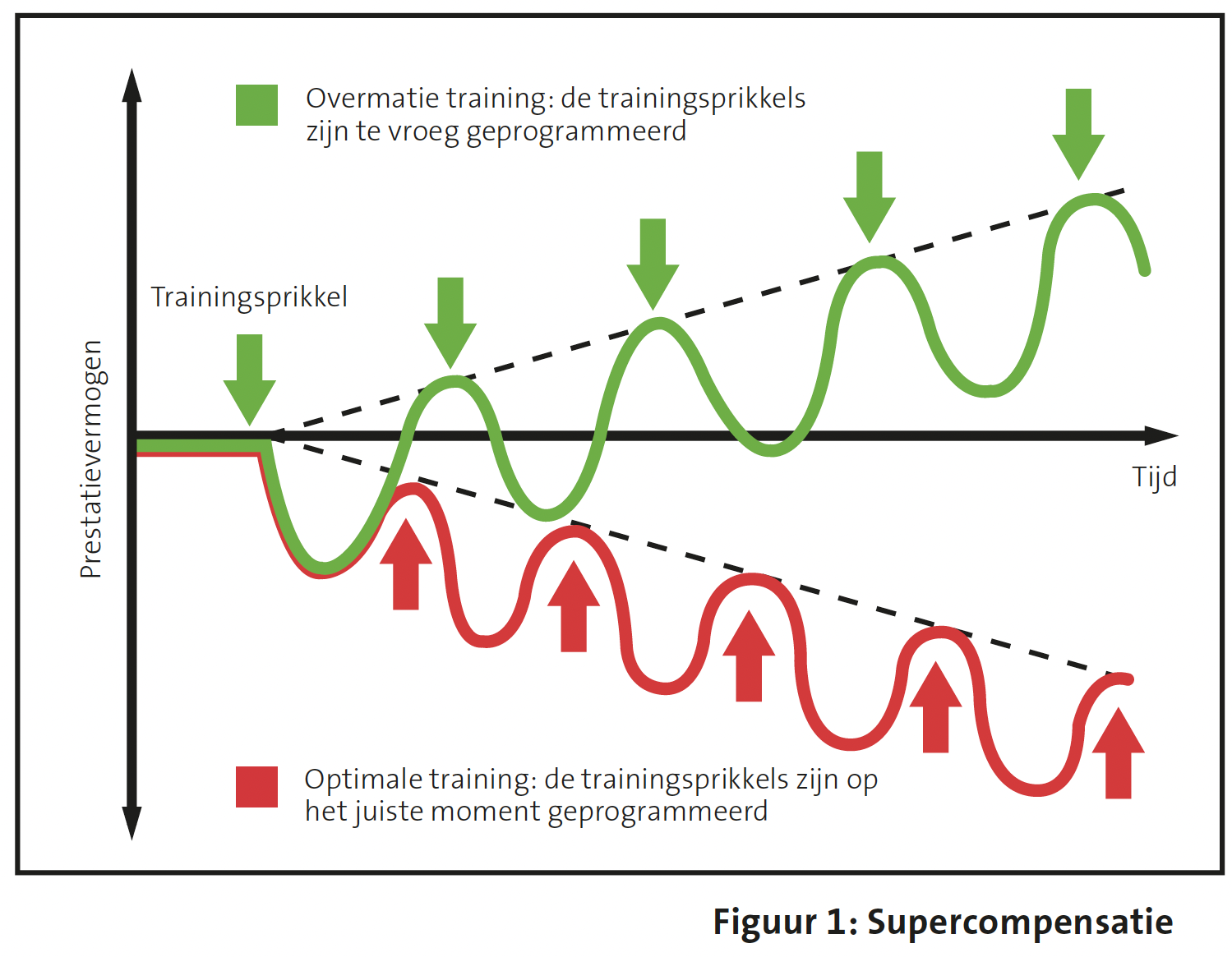 Trainen op schema? - Sportgeneeskunde Midden Nederland